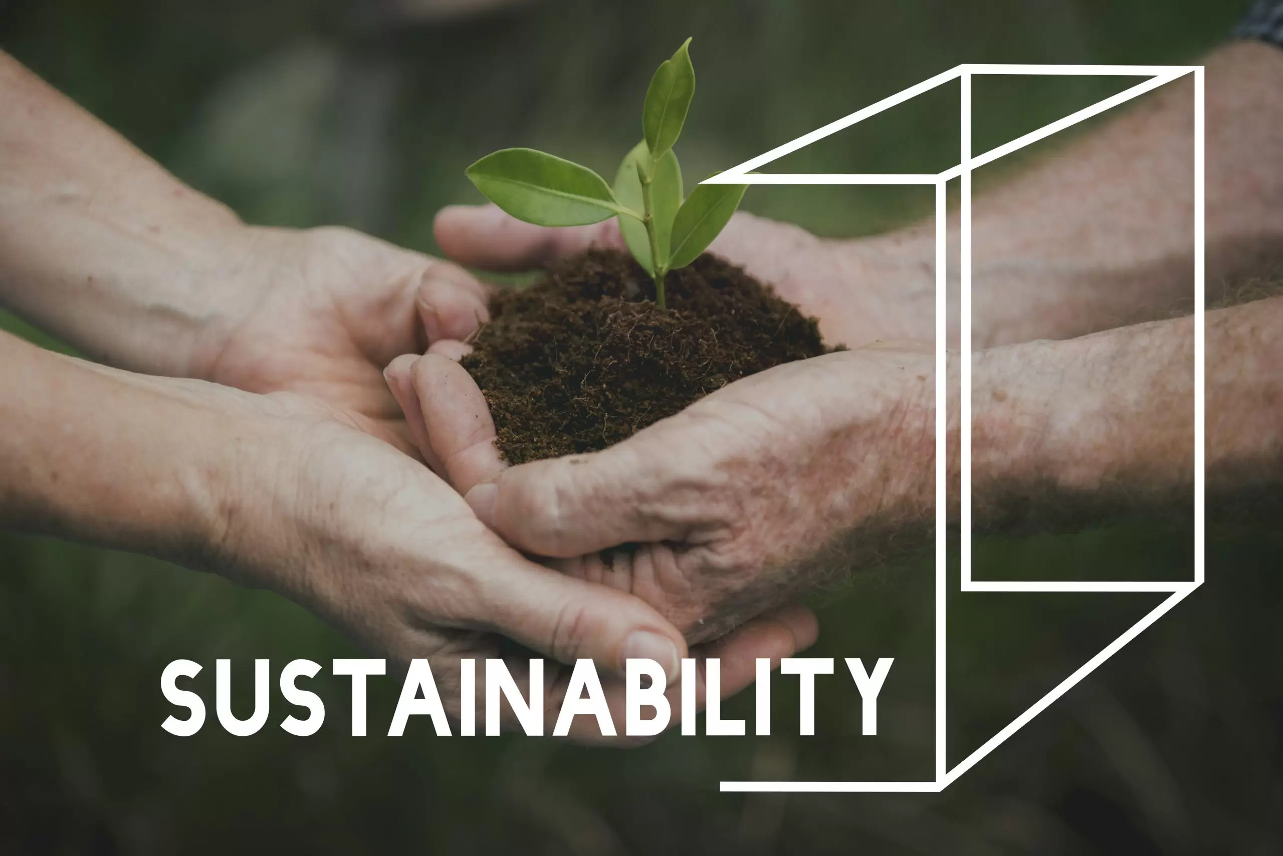 Safeguarding Our Future: The Role of Environmental Protection and EIA ...